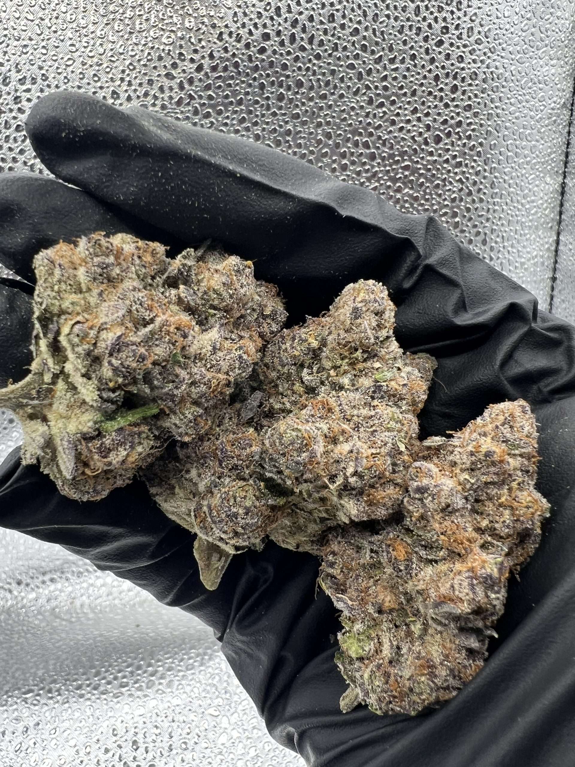 Block Berry – White Ash Reserve