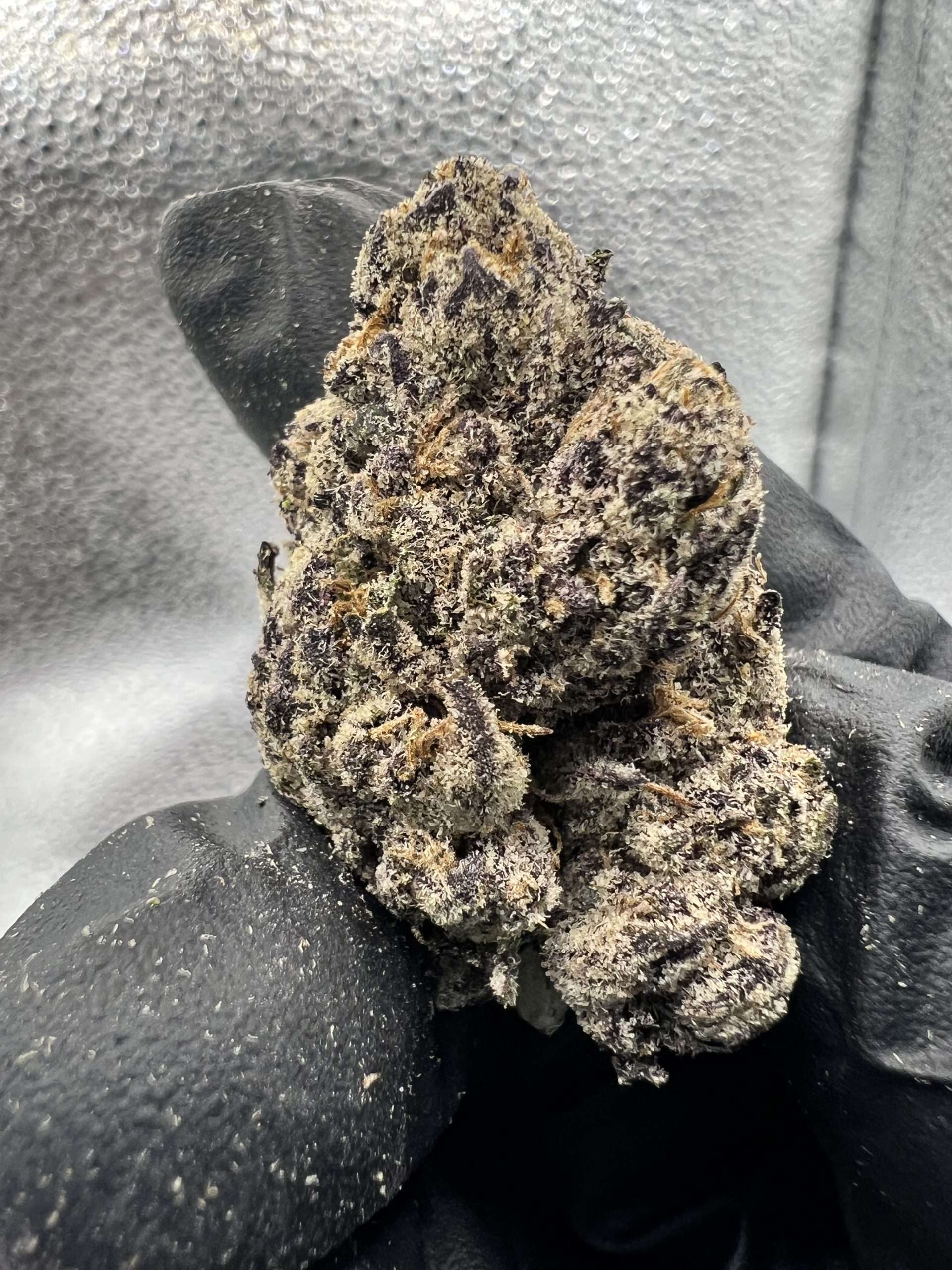 Smarties - White Ash Reserve